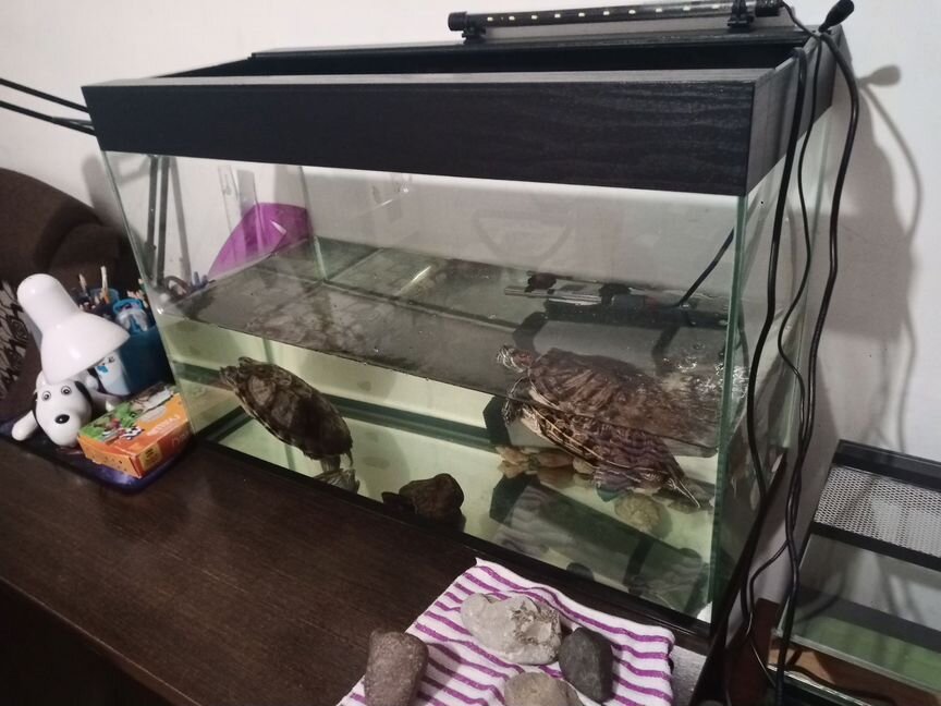 Аквариум 160 л.,с фильтром обогревателем