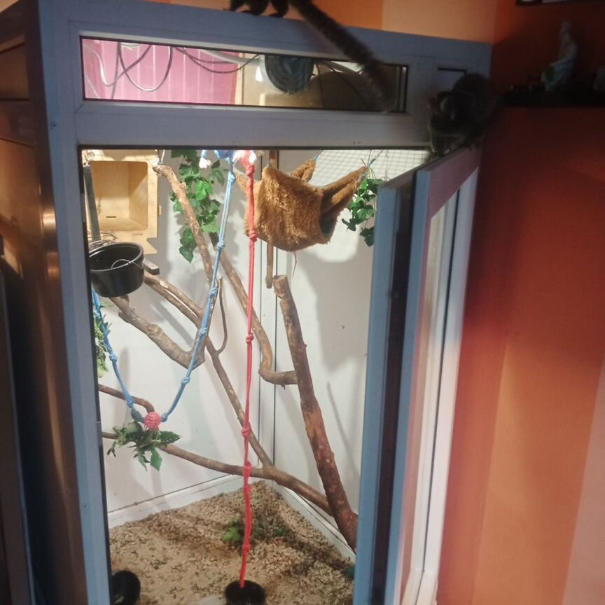 Вольер для обезьяна