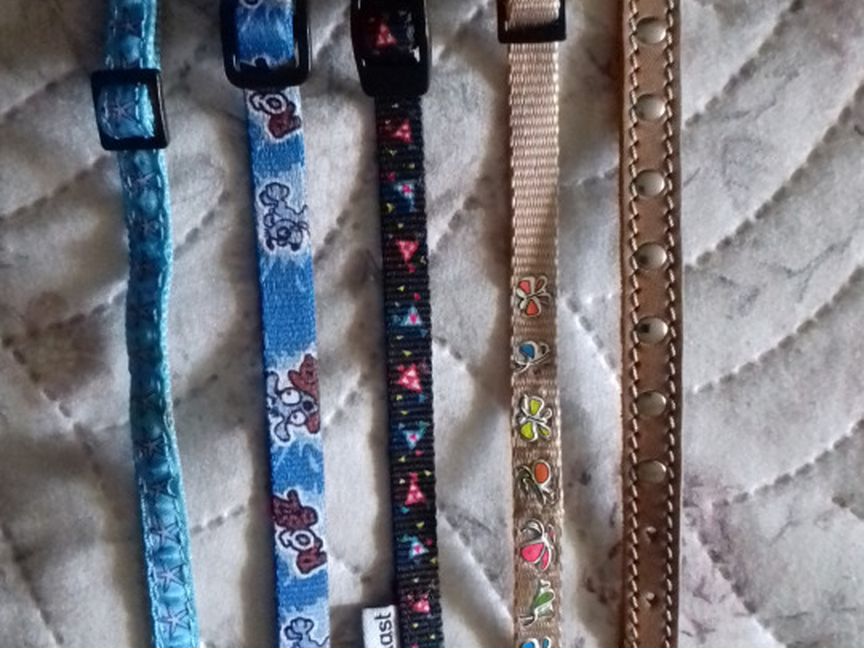 Ошейники, поводки, рулетки, когтеточка