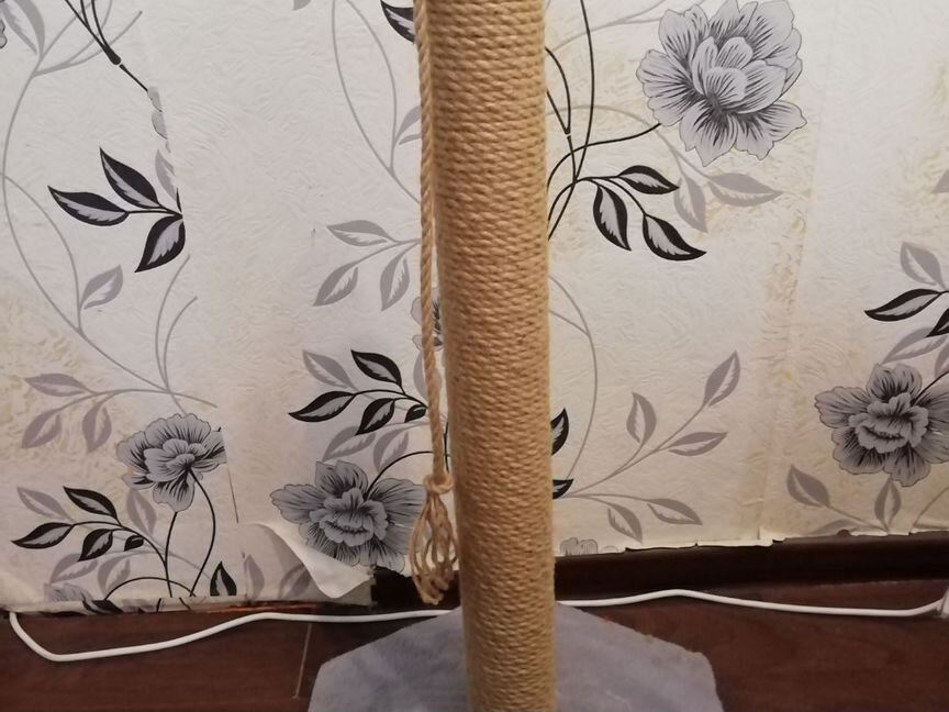 Когтеточка