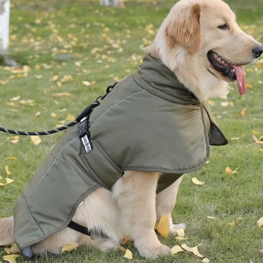 Попона для крупных собак