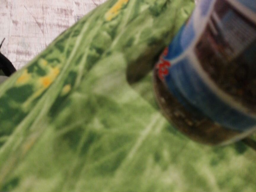 Аквариумные рыбки гуппи