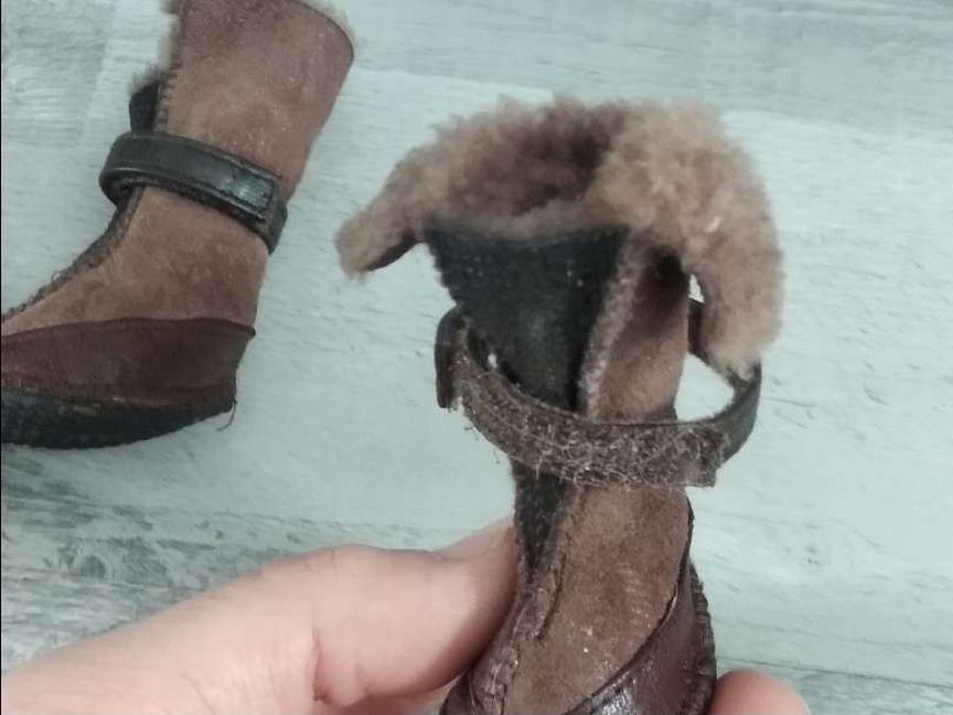 Обувь для маленьких собак