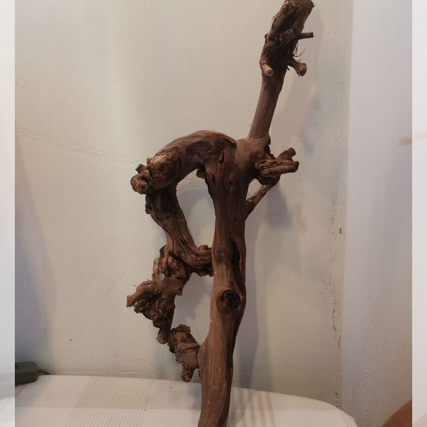 Коряги для террариума