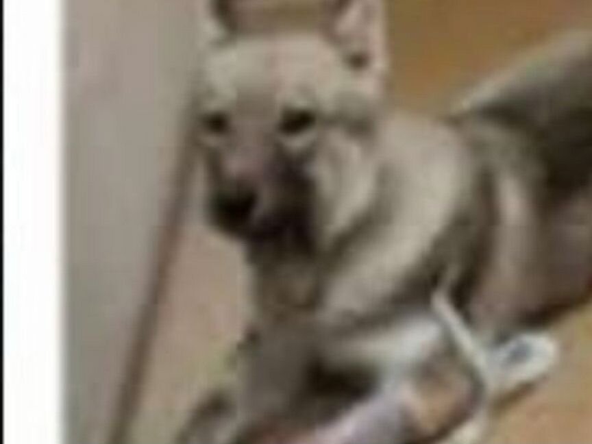 Всем не равнодушным