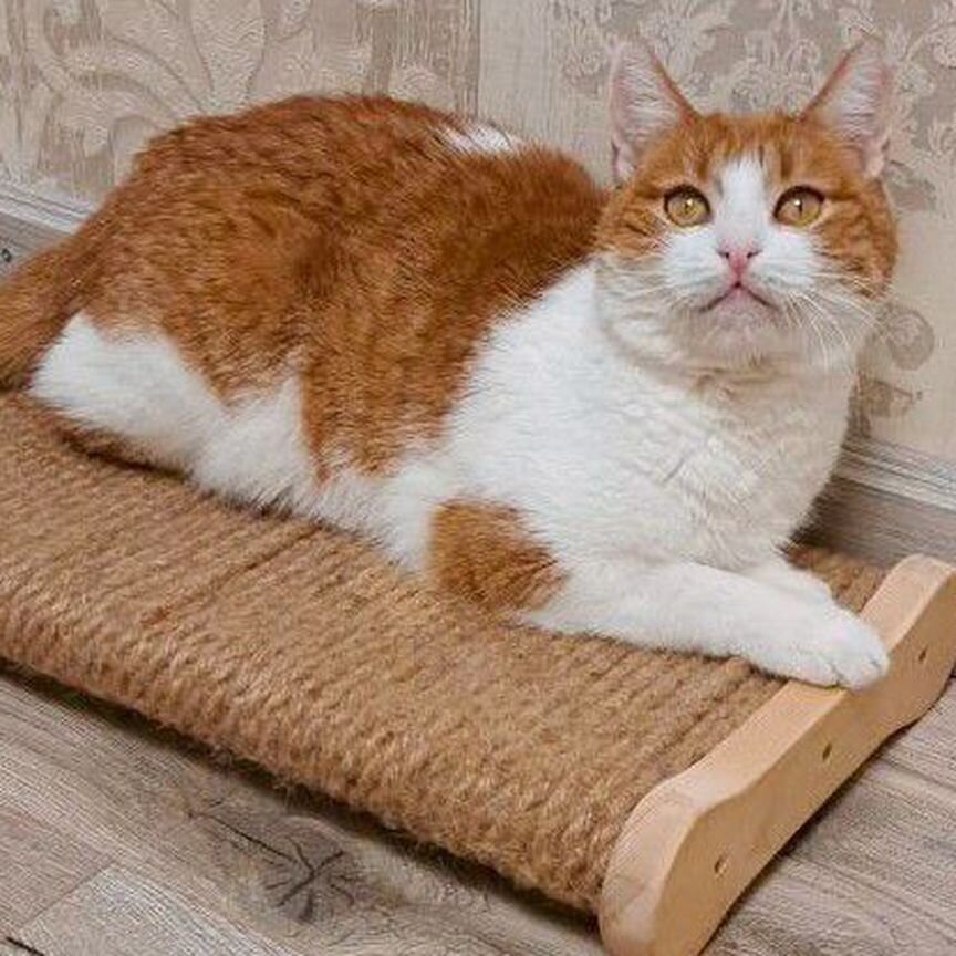 Ищу доживание