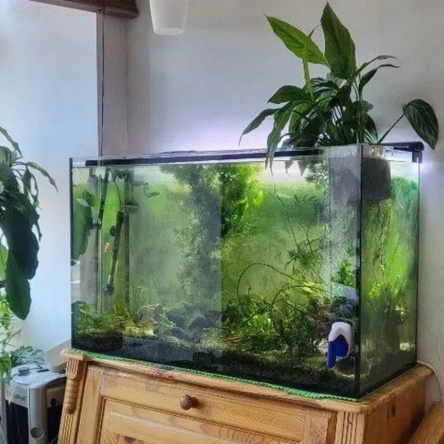 Аквариум 120 литров