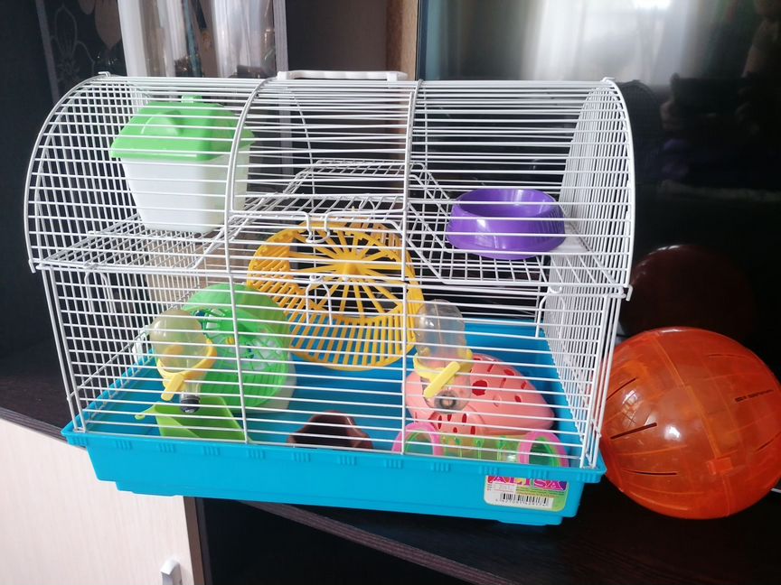 Клетка для сирийского хомяка