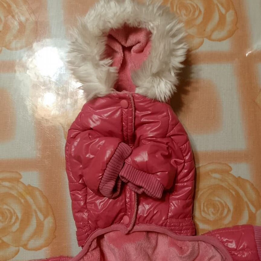 Костюм для маленькой собаки