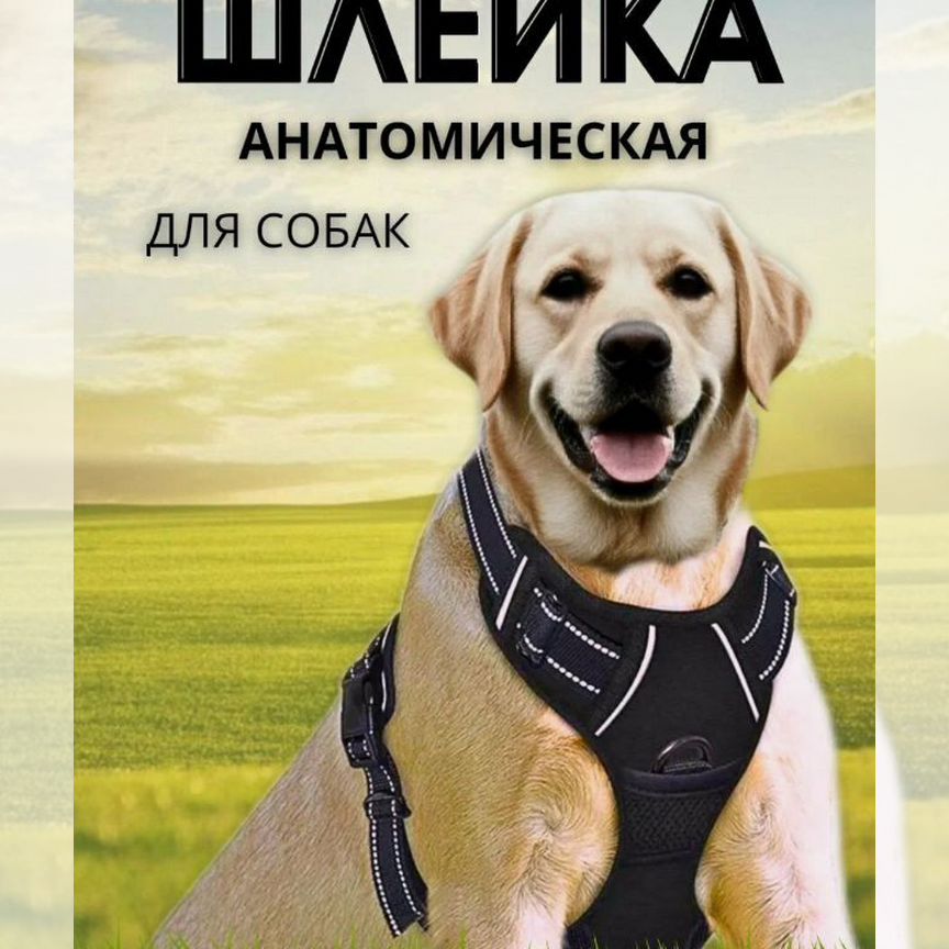 Шлейка для собаки