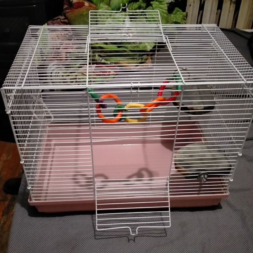 Клетка для попугая бу