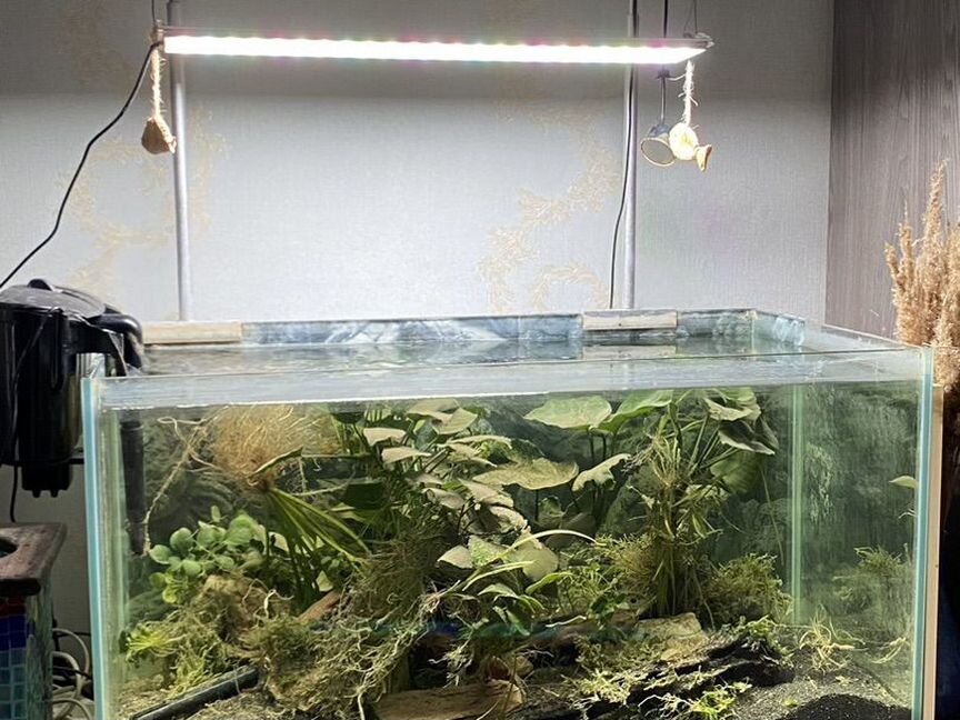 Большой аквариум 160 литров