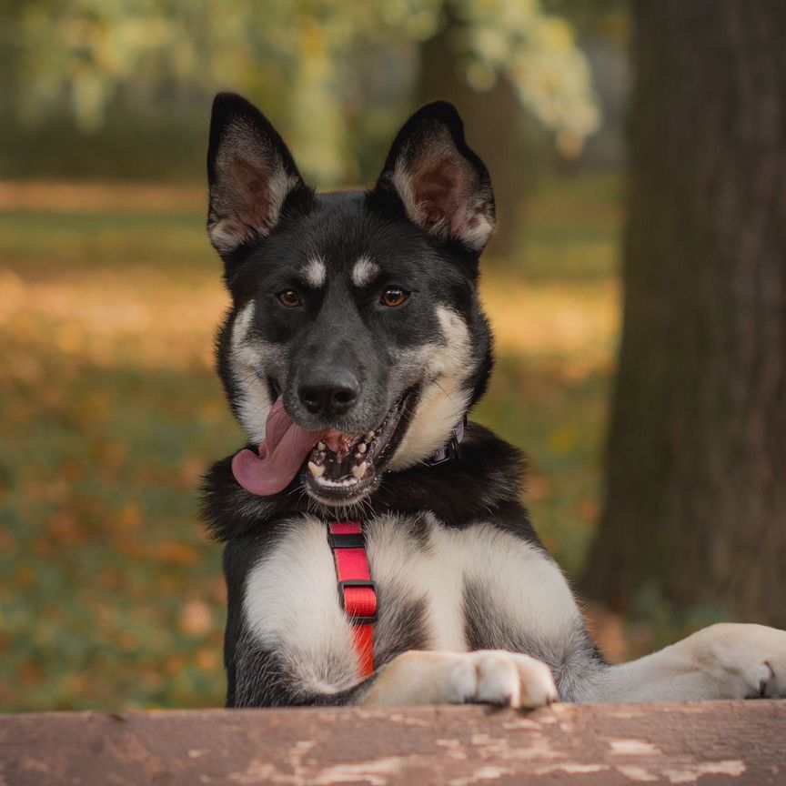 Полли ждёт семью