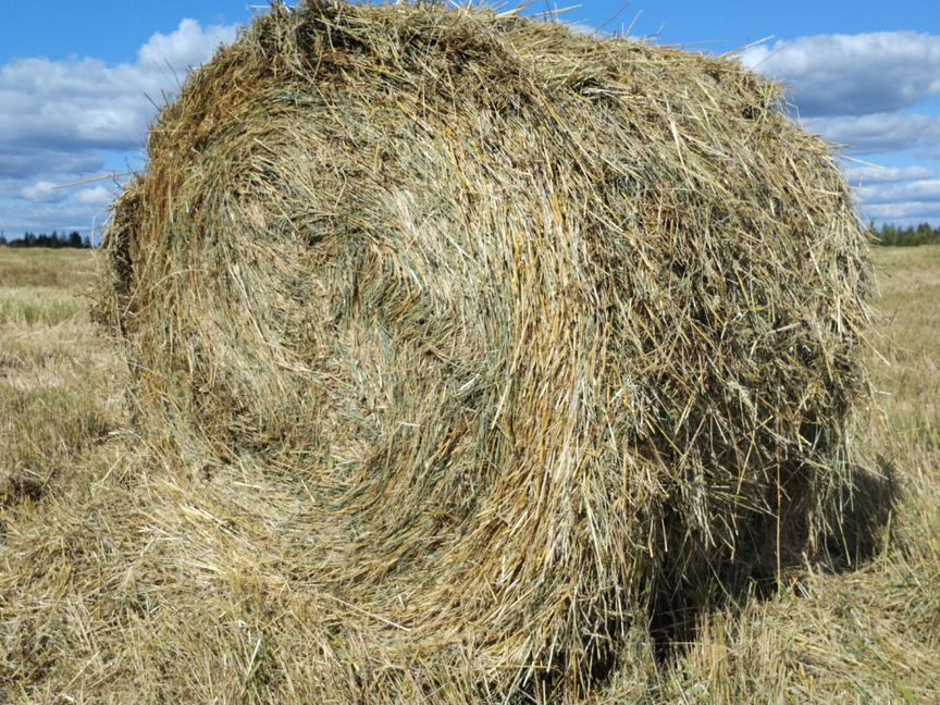 Солома в рулонах