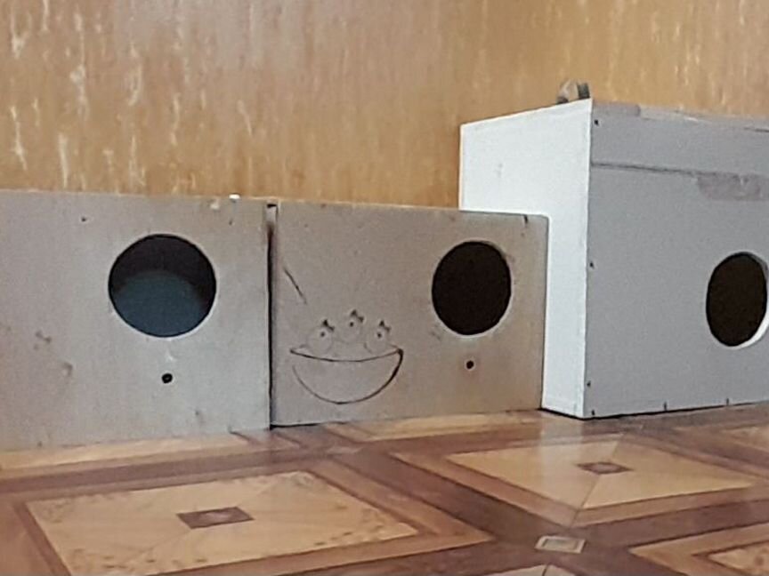 Дуплянка для птиц