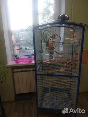 Клетка для волнистого попугая купить в Ростове-на-Дону | Животные и ...