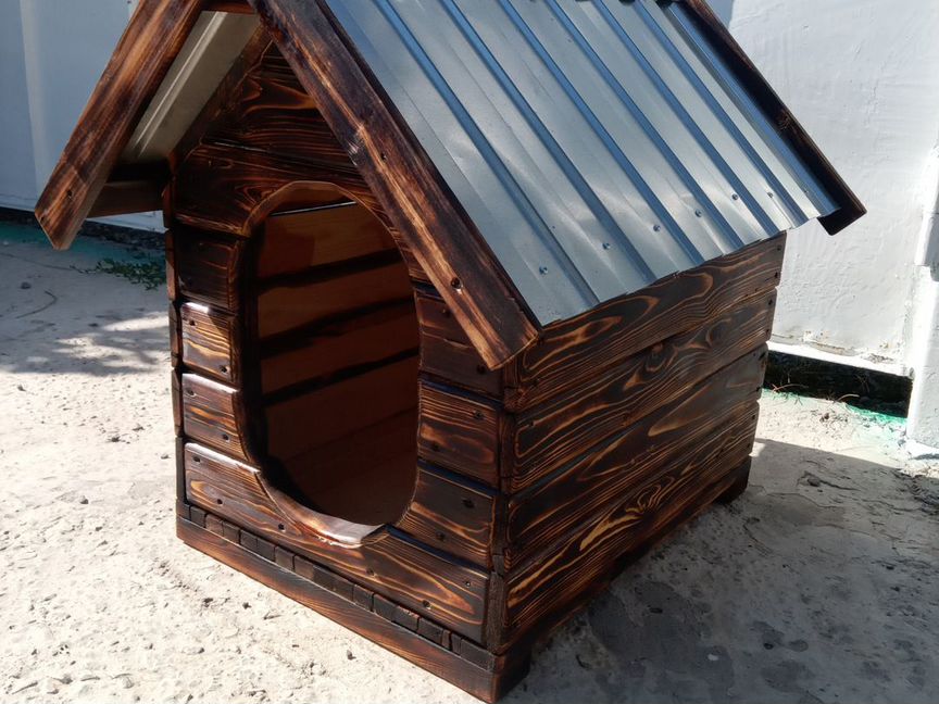 Собачья конура