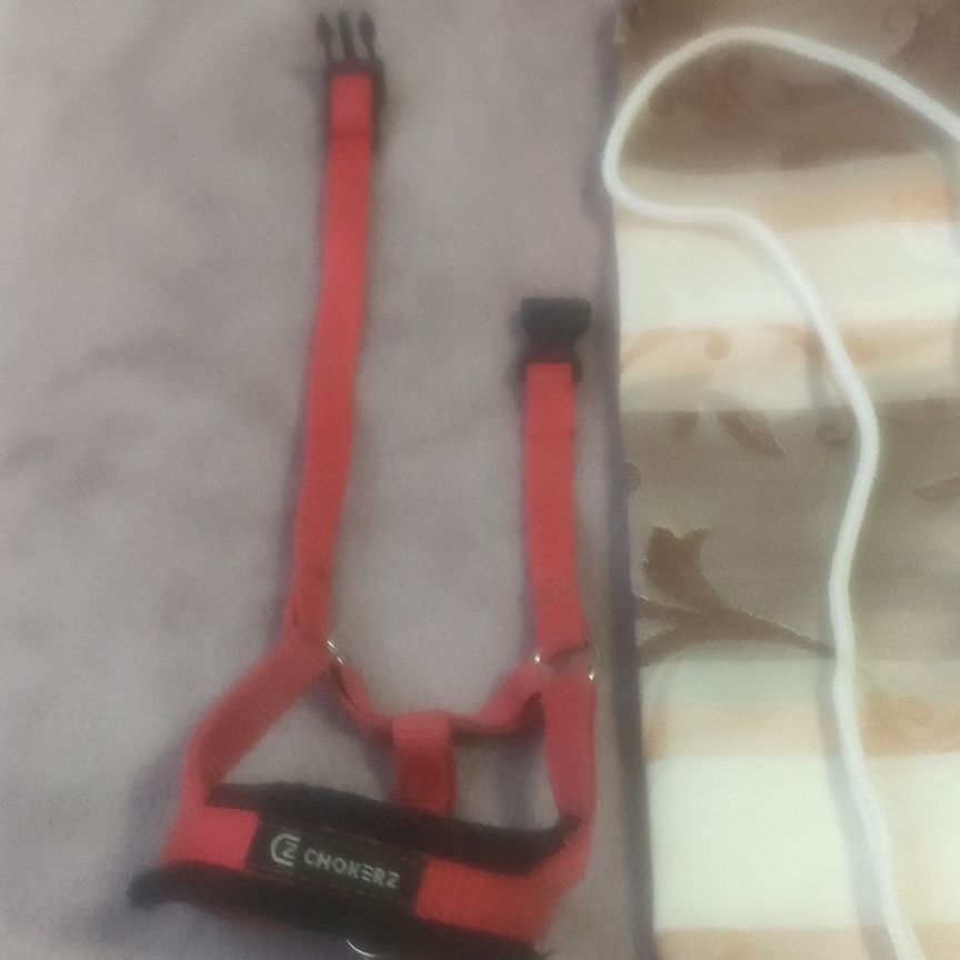 Халти для собак