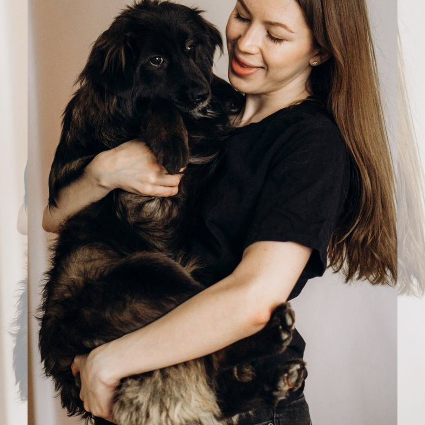 Взрослая собака в добрые руки