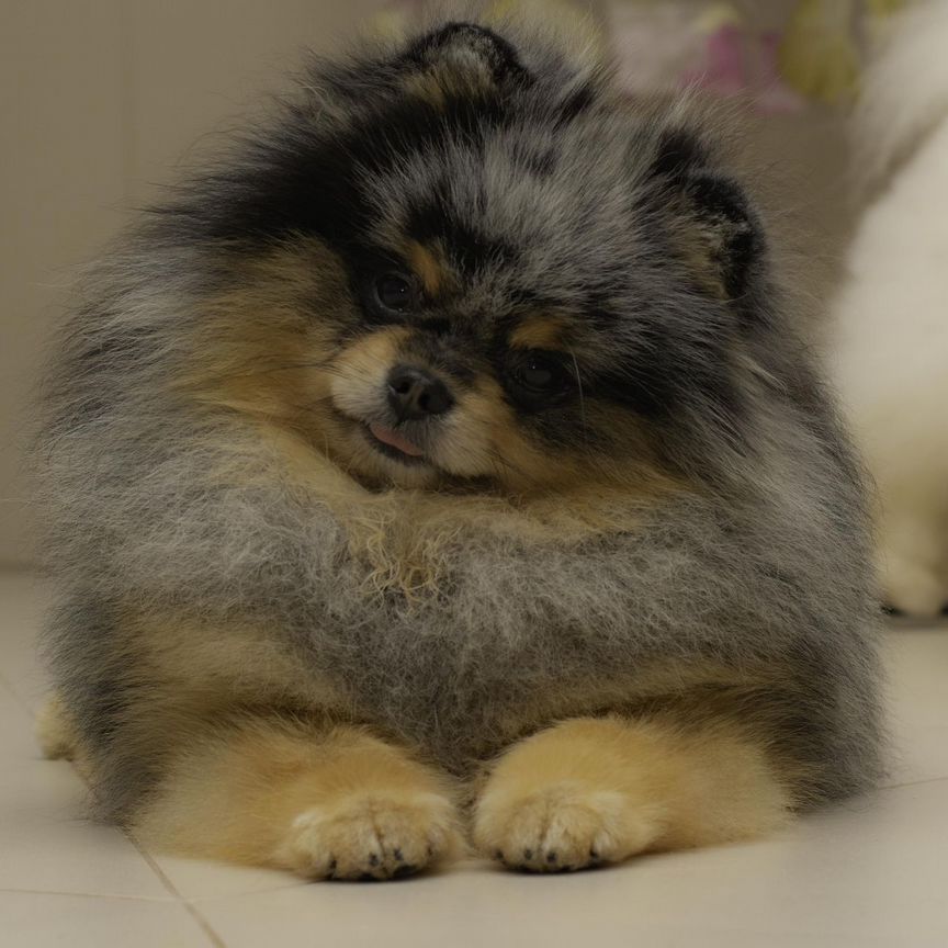 Вязка