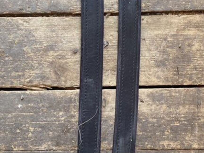 Подпруга, путлище, стремена на лошадь