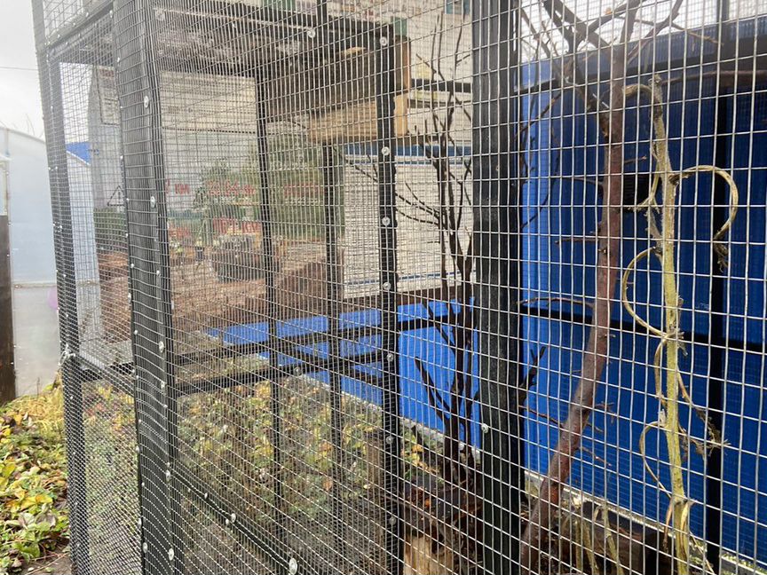 Вольер для белок