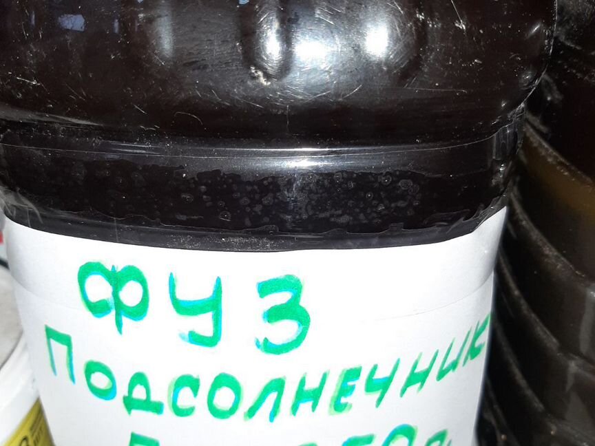 Фуз подсолнечника