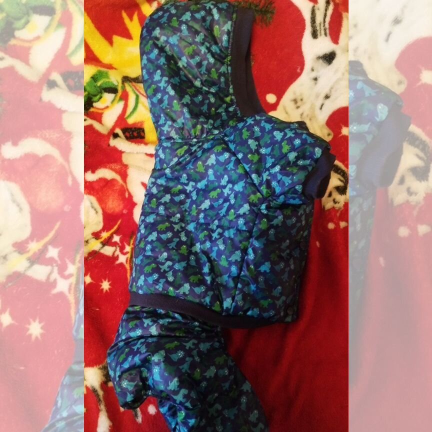 Одежда для собак мелких пород бу