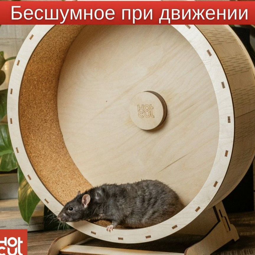 Колесо для шиншилл, грызунов, 44 см
