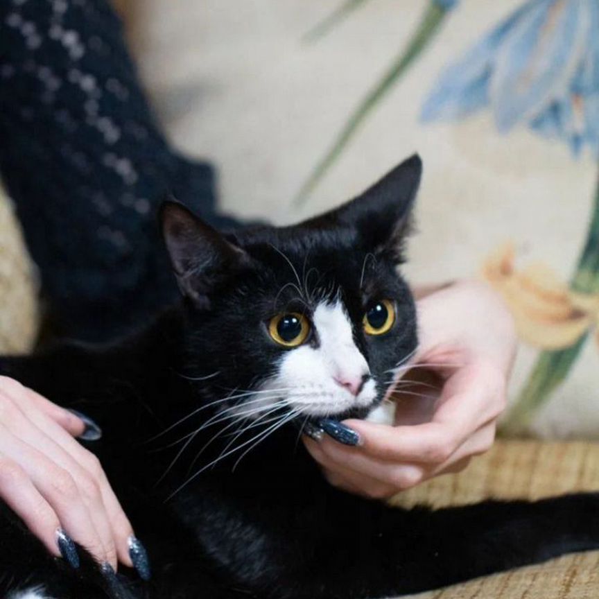 Очаровательная Маслинка в самые добрые ручки