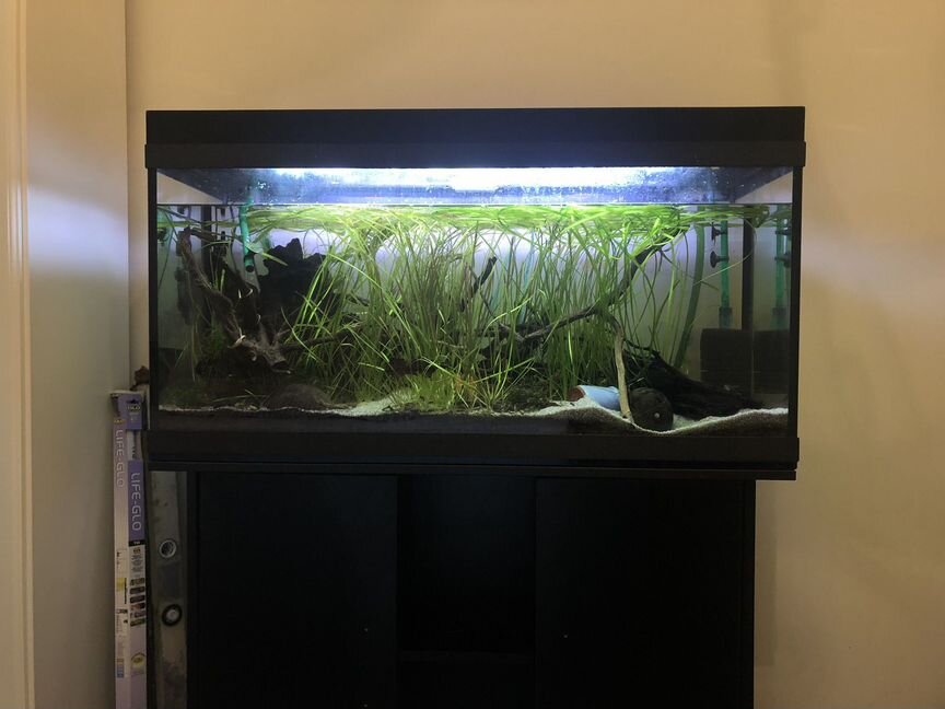 Аквариум ссб аква 180л с тумбой ссб аква