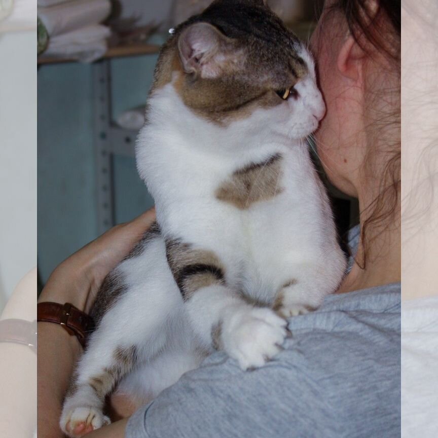 Элик котик 10 мес