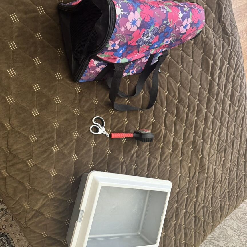 Кошачьи вещи