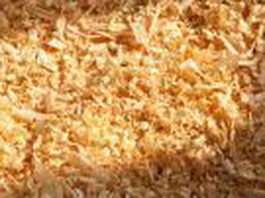 Опилки стружка в мешках