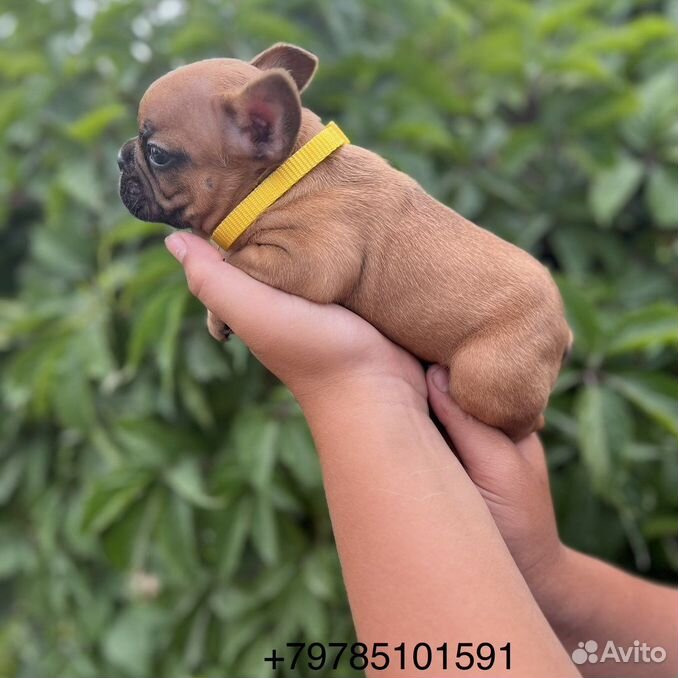 Яркий мальчишка