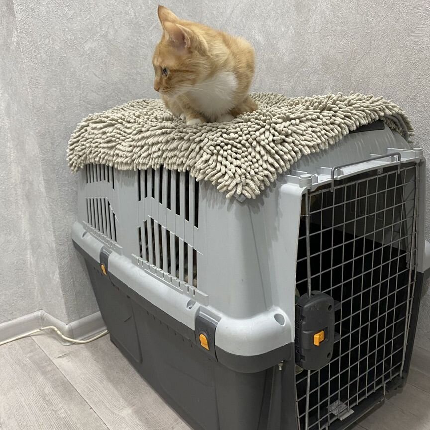 Переноска для собак