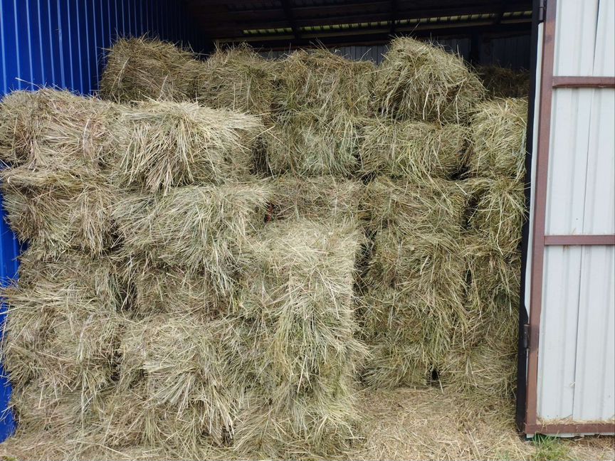 Сено в тюках, солома в мешках - покос июнь 2023