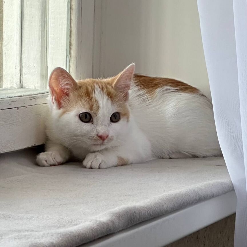 Маленький Костя в дар