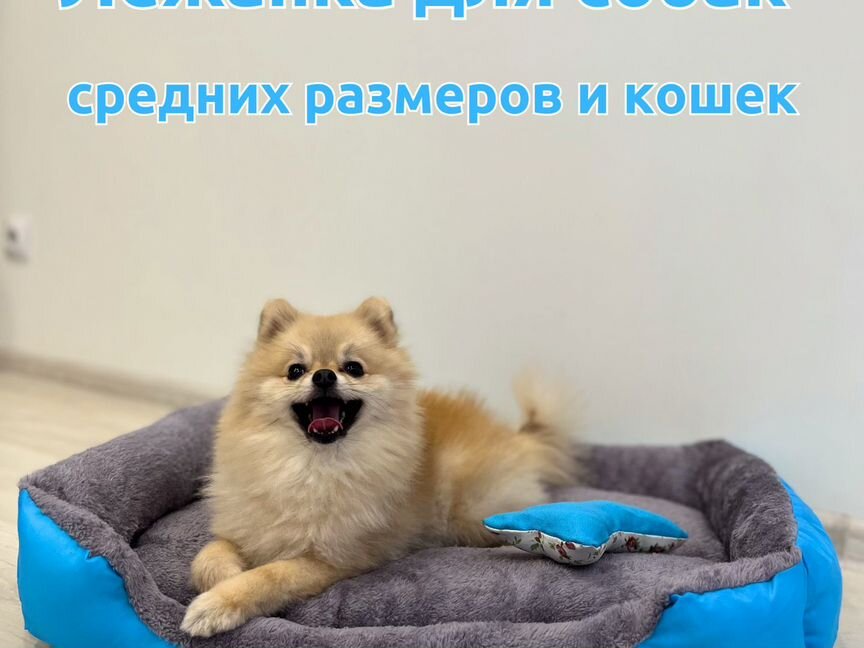 Лежанка для собак и кошек голубая 60х40