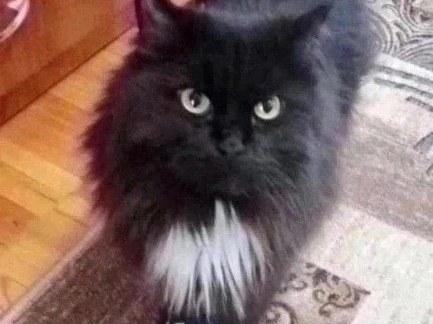 Приютите сироту