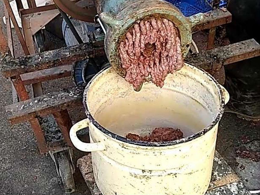 Рыбный фарш для собак и кошек