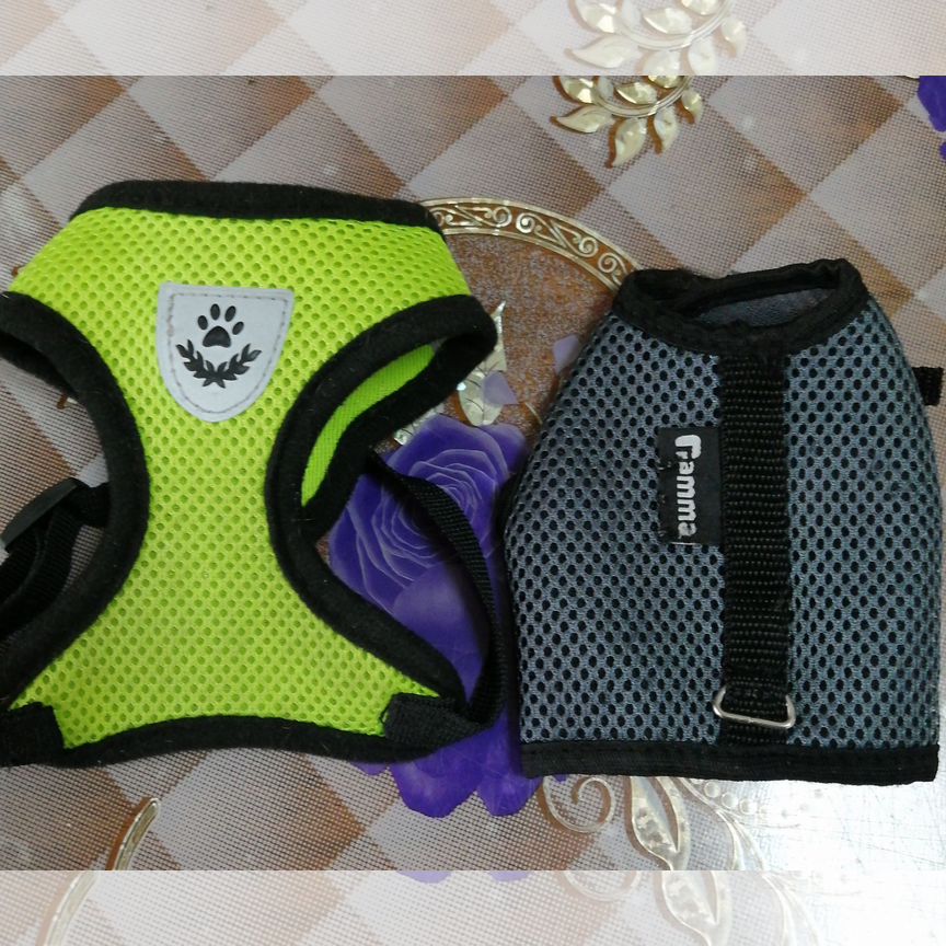 Шлейка для маленькой собаки