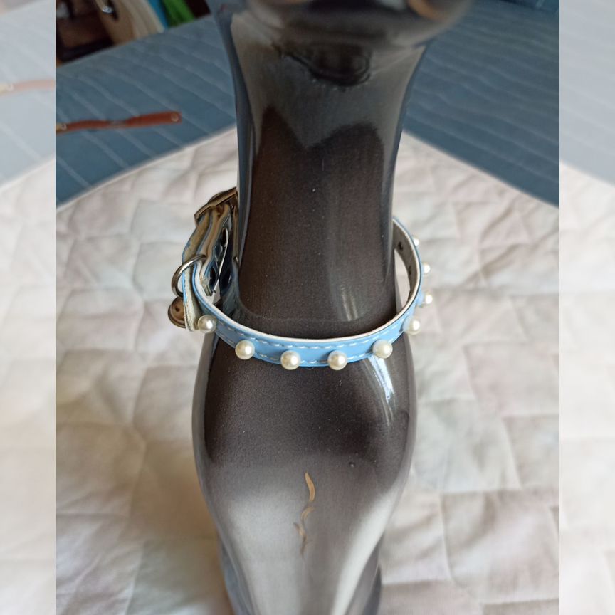Ошейник для кошек