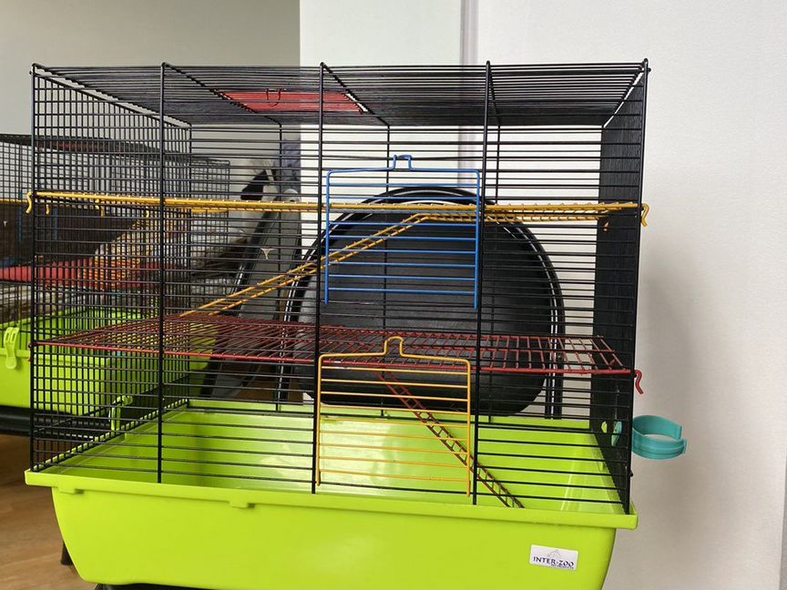 Клетка для грызунов