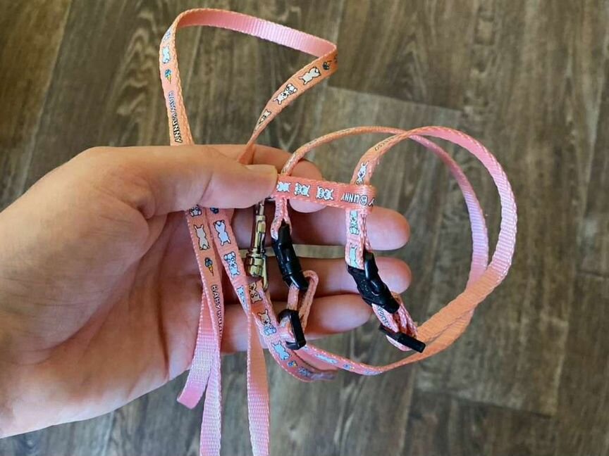 Шлейка для собаки