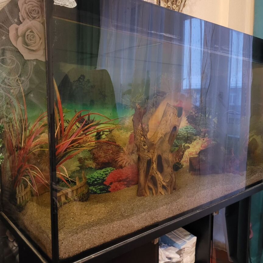 Аквариум 200 с тумбой