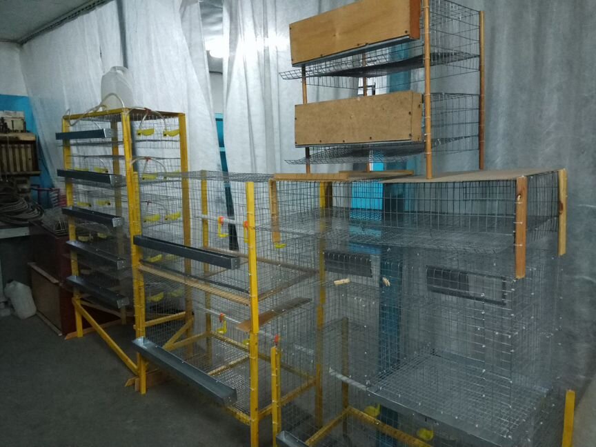 Клетки для птиц и кролей