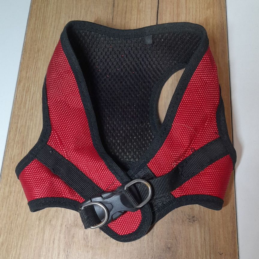 Шлейка 38см. Отдам