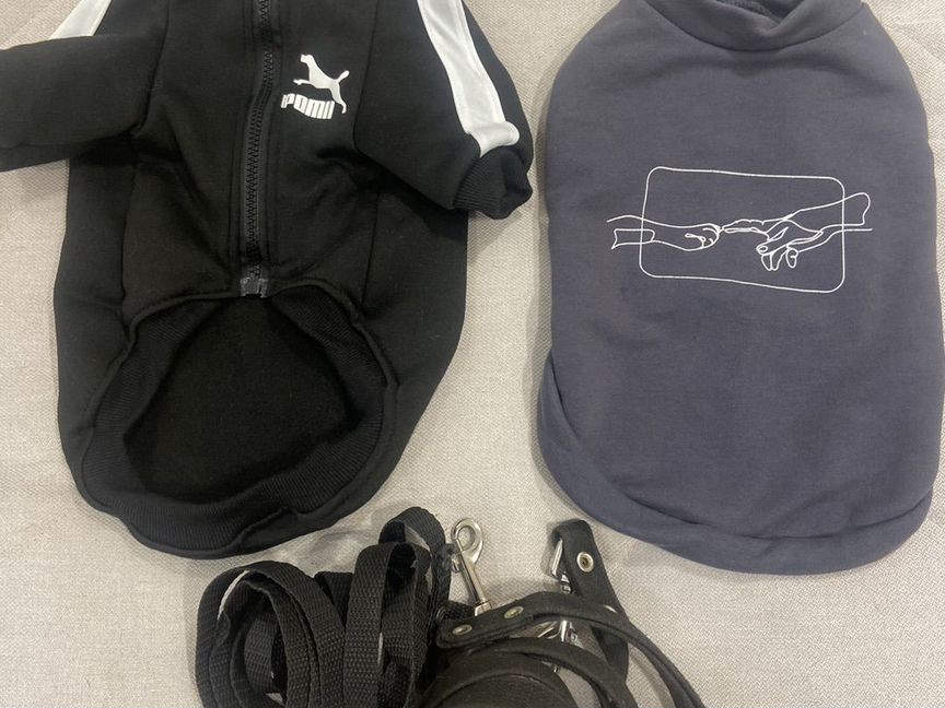 Кофты для щенка