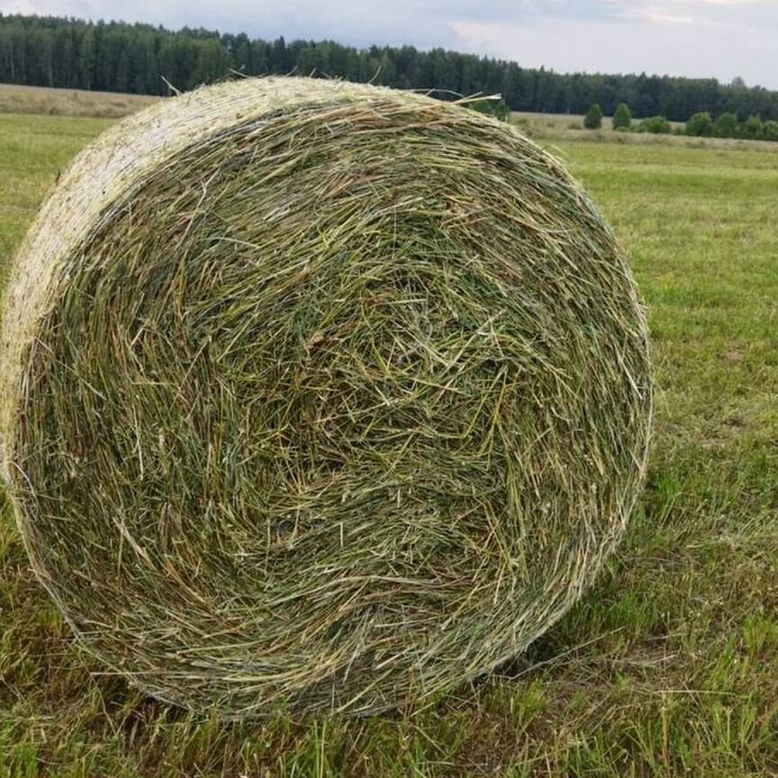 Сено с доставкой